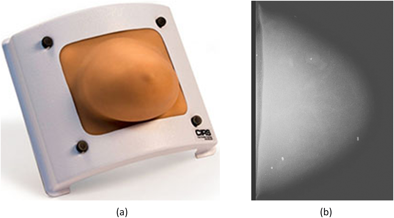 Introduction to anthropomorphic phantoms - Book chapter - IOPscience