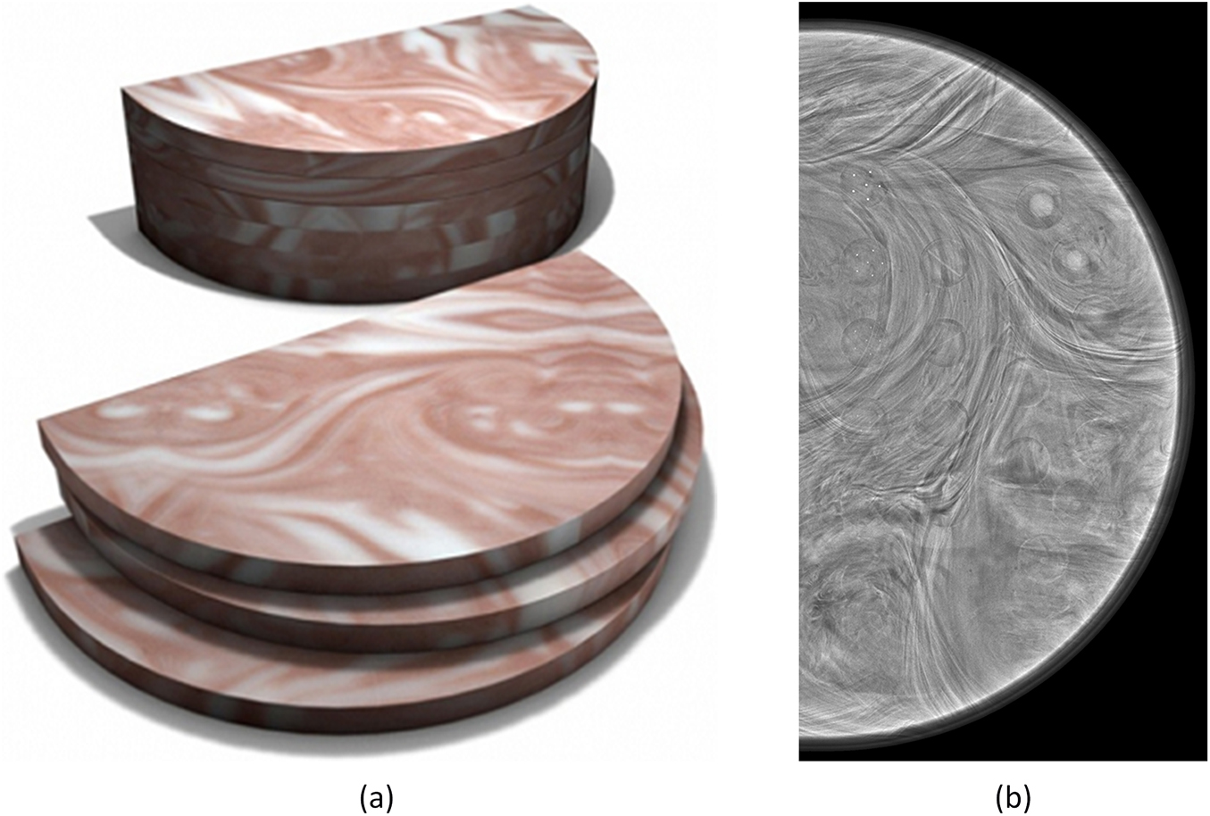 Introduction to anthropomorphic phantoms - Book chapter - IOPscience