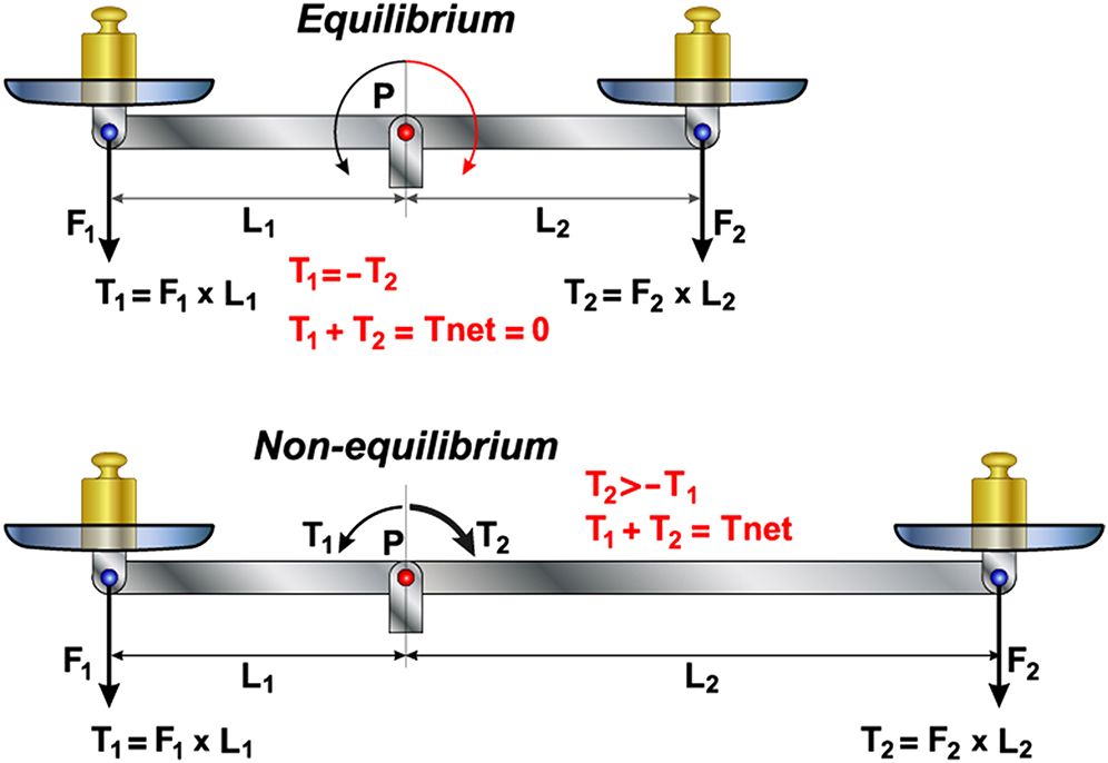 Cut and thrust—the physics of fencing - Book chapter - IOPscience