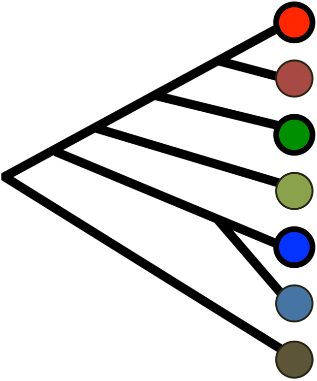 Phylogeny and development - Book chapter - IOPscience