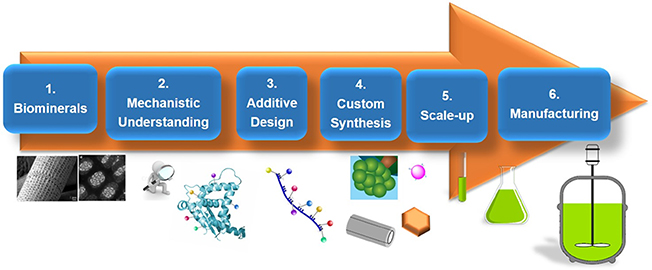 Bioinspired 'green' synthesis of nanomaterials - Book chapter - IOPscience