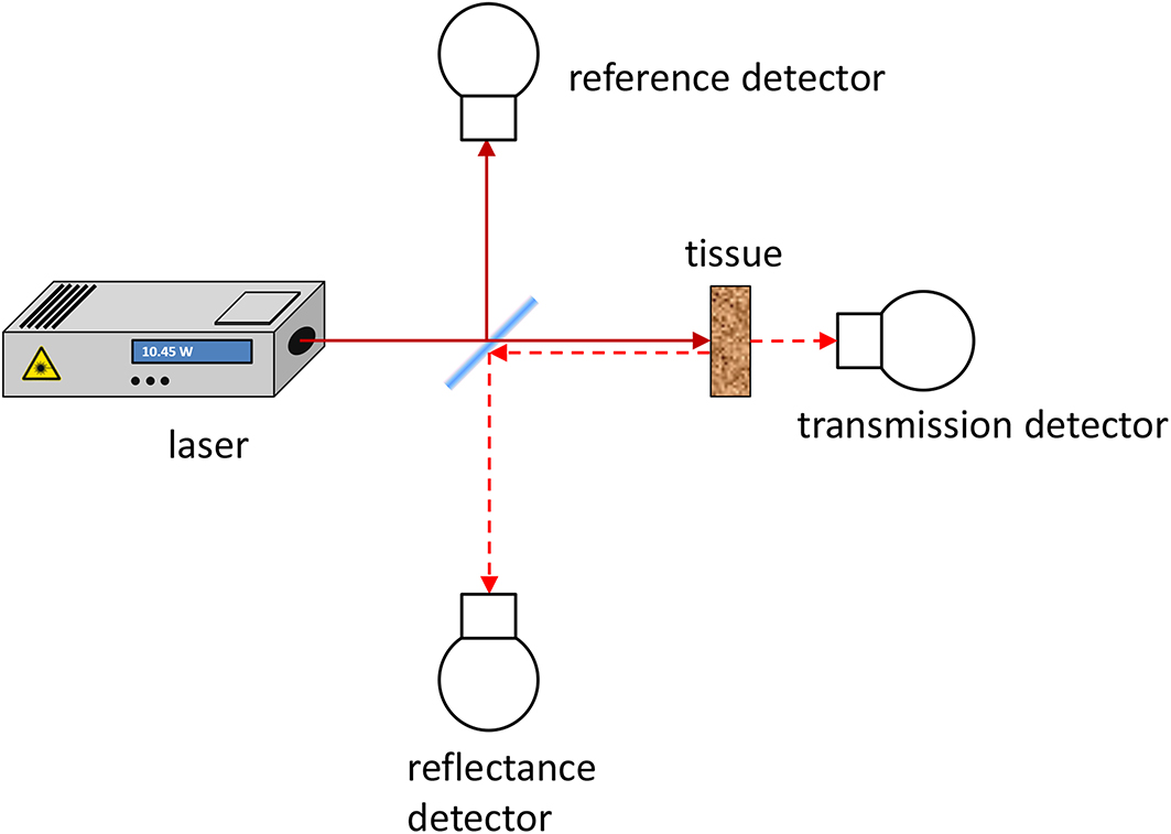 Tissue optics and laser–tissue interactions - Book chapter - IOPscience