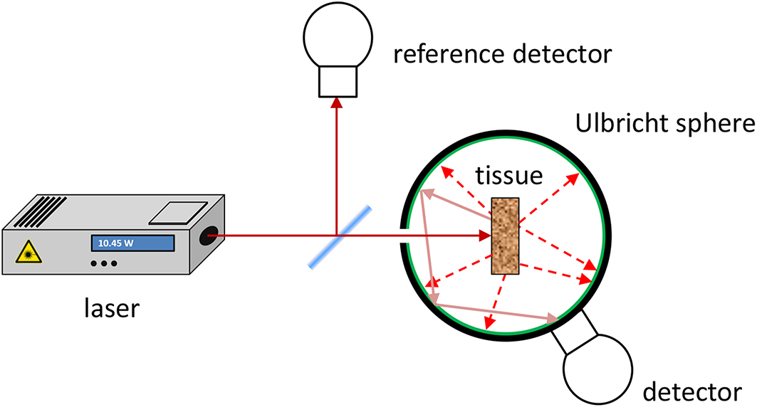 Tissue optics and laser–tissue interactions - Book chapter - IOPscience