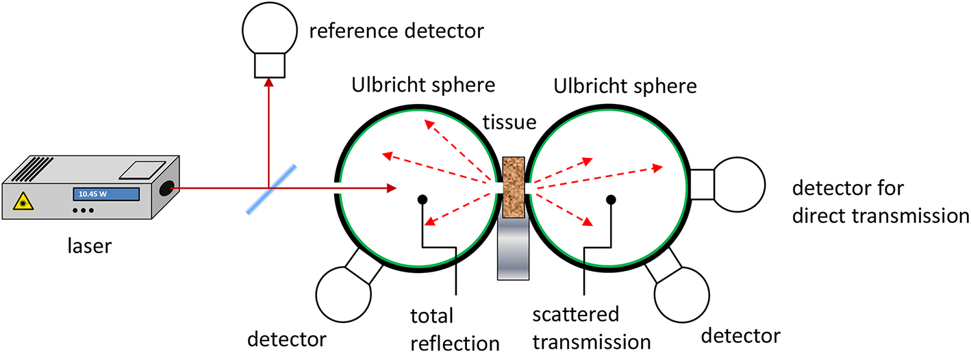 Tissue optics and laser–tissue interactions - Book chapter - IOPscience