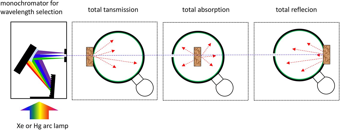 Tissue optics and laser–tissue interactions - Book chapter - IOPscience