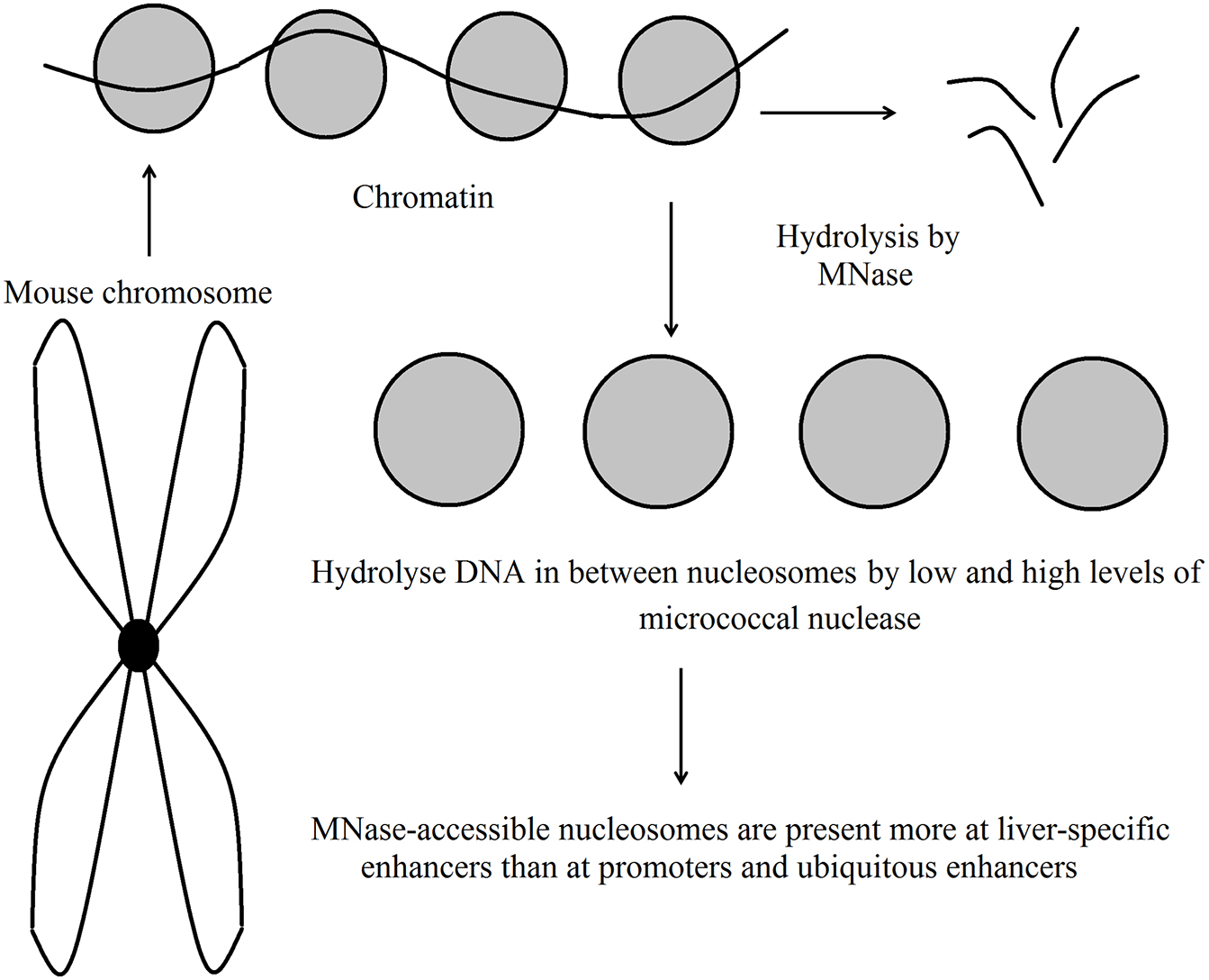 History, scope and development of biotechnology - Book chapter - IOPscience