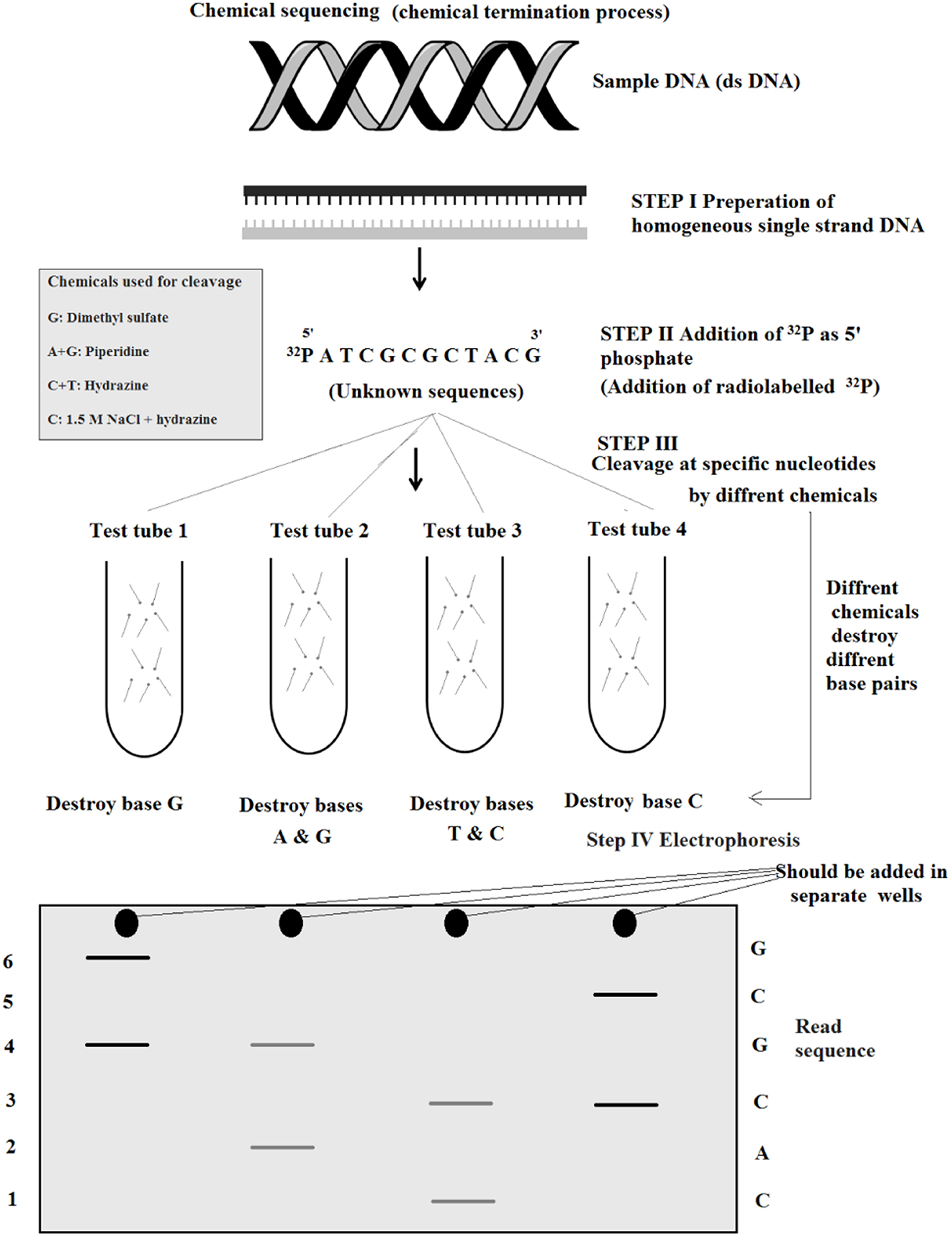 Modern DNA science and its applications - Book chapter - IOPscience