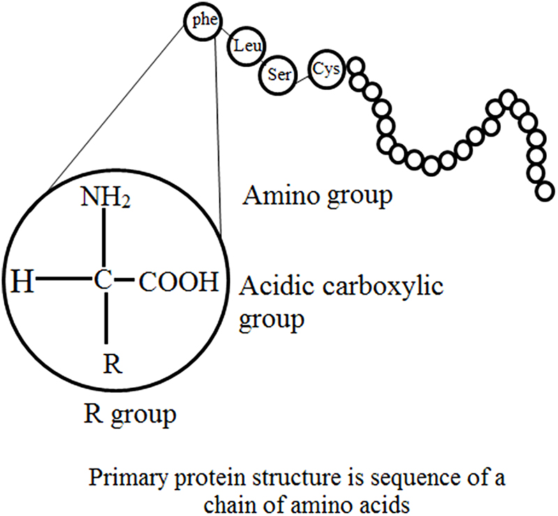 Introduction to enzymes and their applications - Book chapter - IOPscience