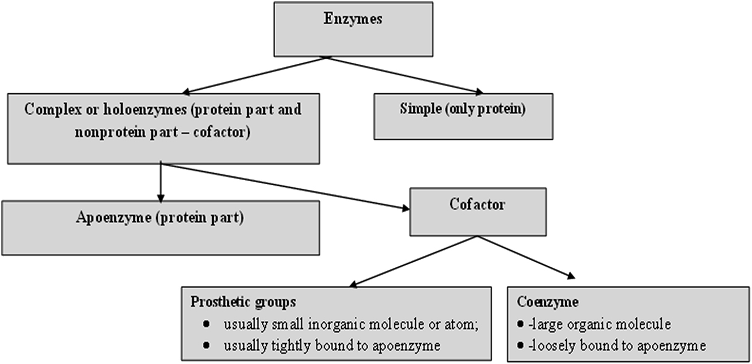 Introduction to enzymes and their applications - Book chapter - IOPscience
