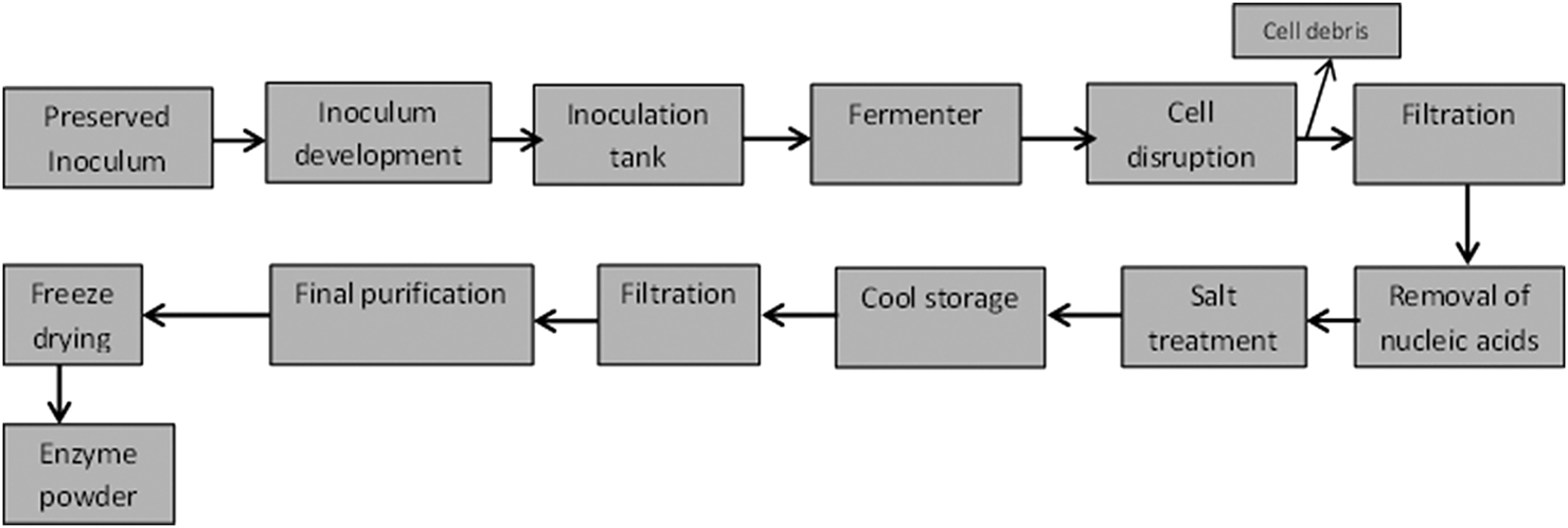 Technologies and procedures involved in enzyme production - Book ...