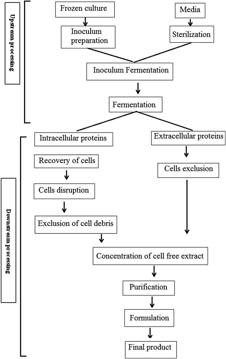 Technologies and procedures involved in enzyme production - Book ...