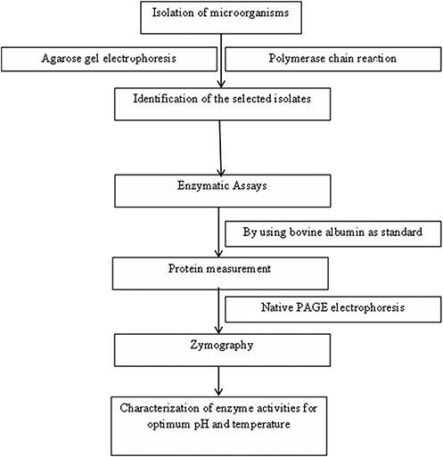 Technologies and procedures involved in enzyme production - Book ...