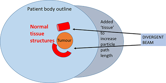 Particle physics for biological interactions - Book chapter - IOPscience