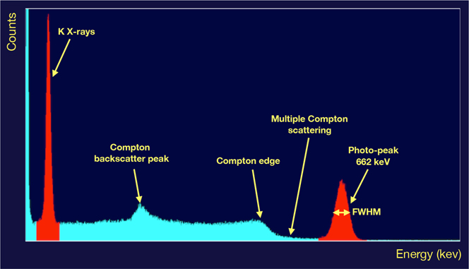Scintillator detectors for gamma-ray detection - Book chapter - IOPscience