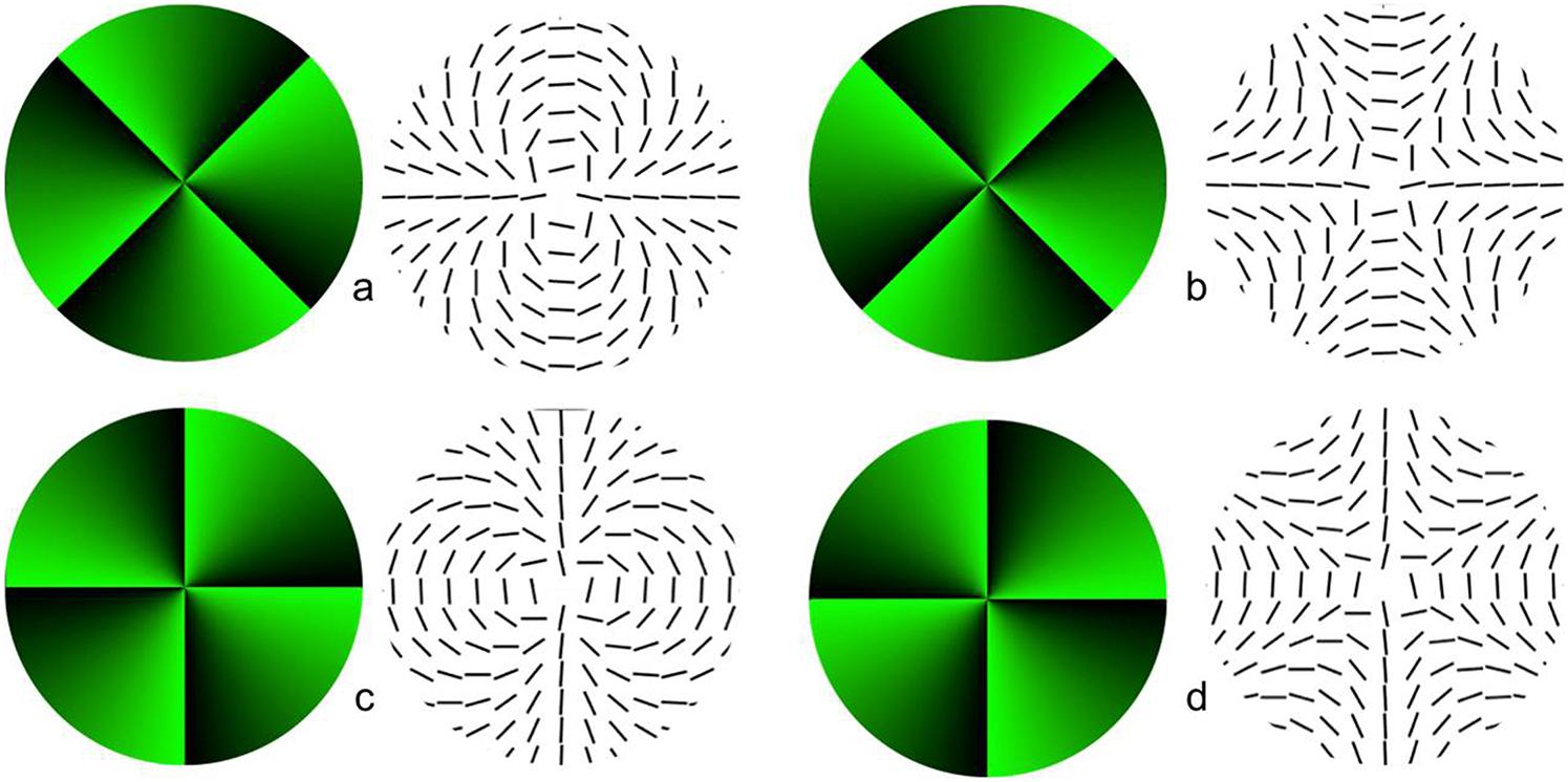 Polarization singularities - Book chapter - IOPscience