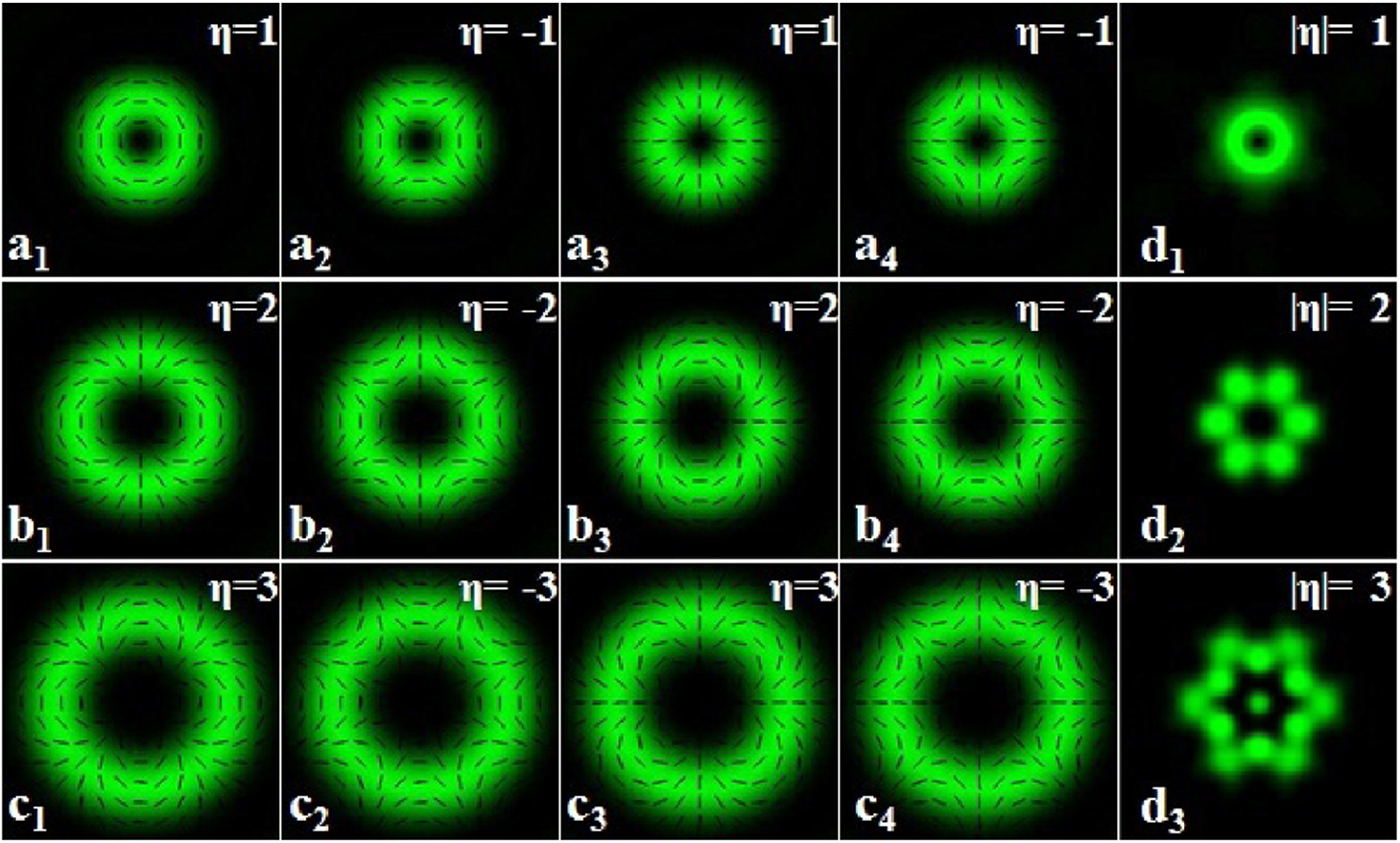 Polarization singularities - Book chapter - IOPscience
