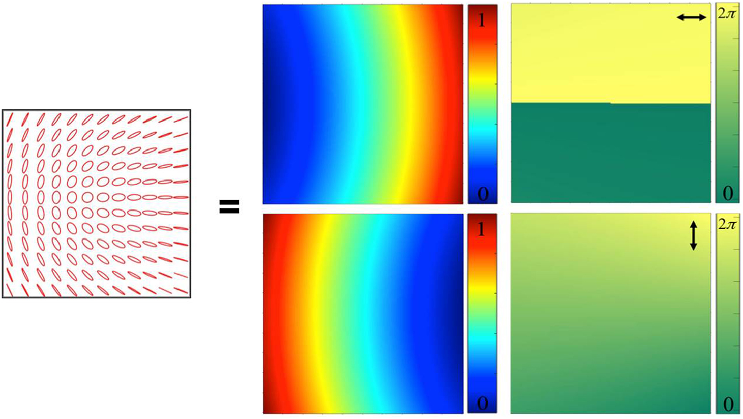 Polarization singularities - Book chapter - IOPscience