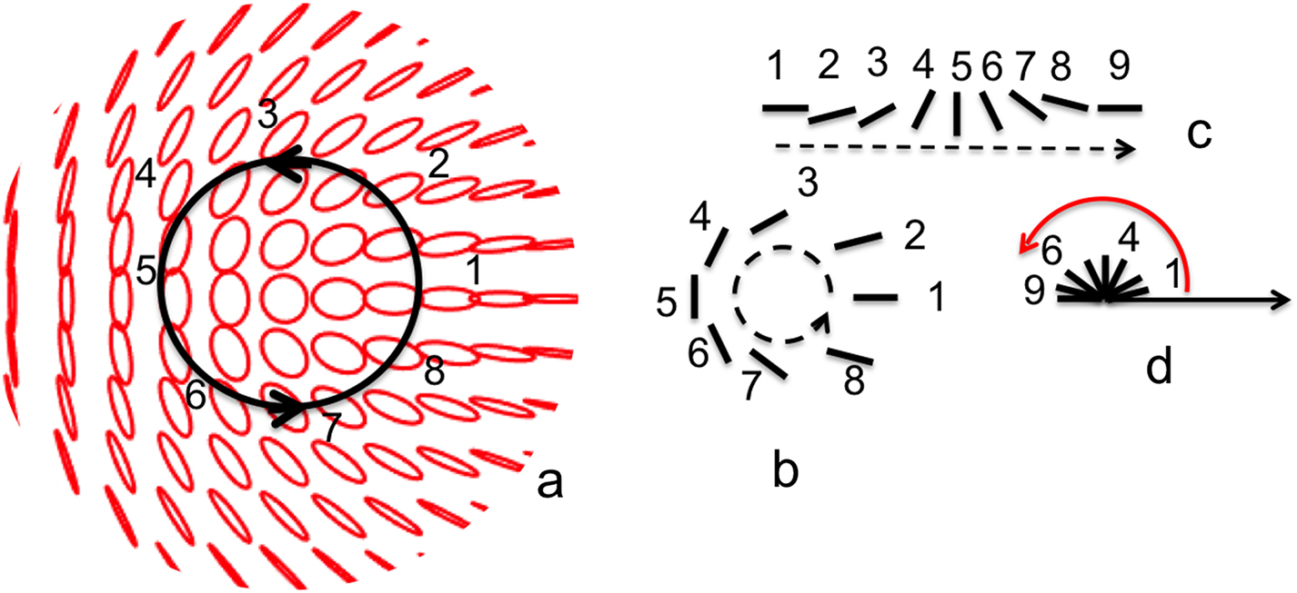Polarization singularities - Book chapter - IOPscience