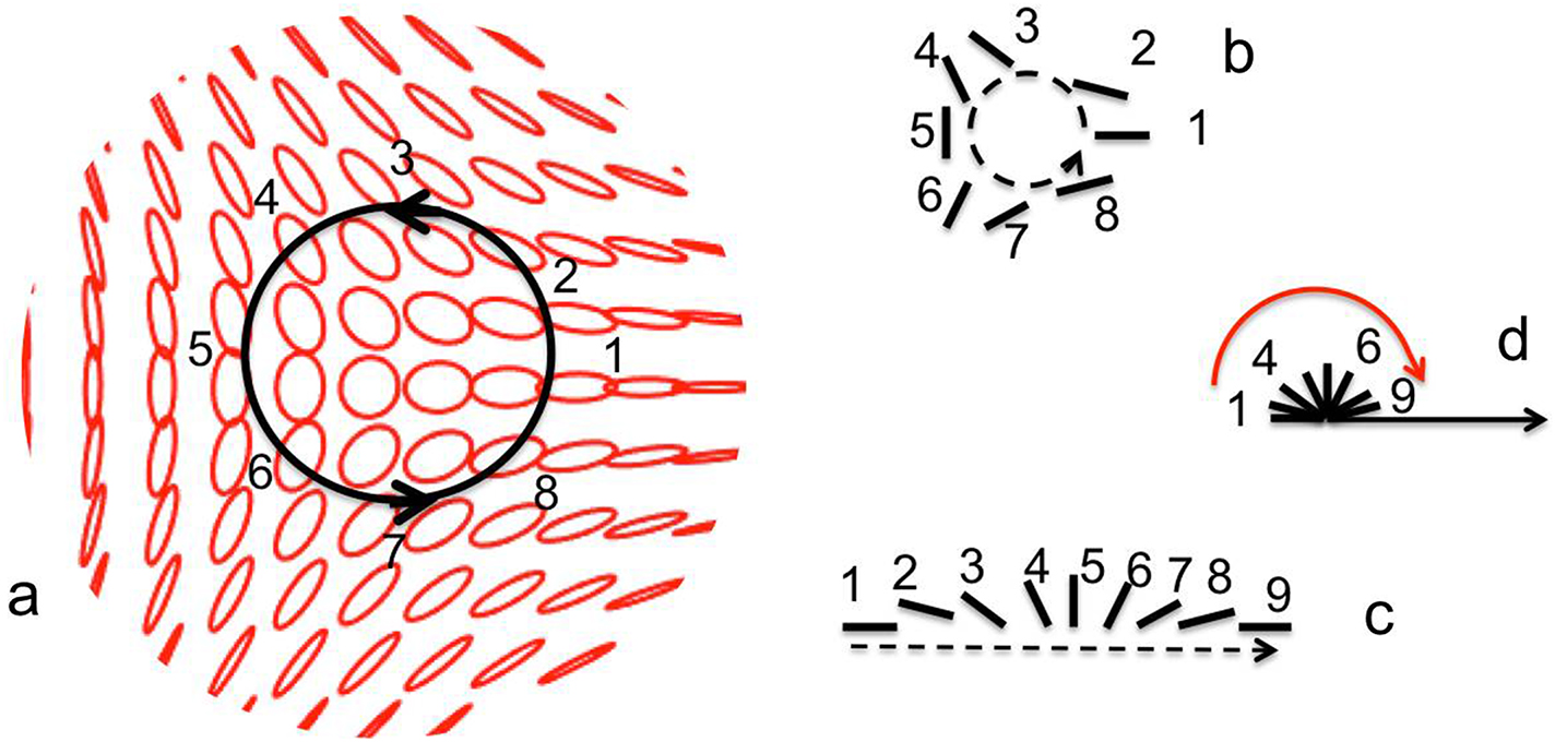 Polarization singularities - Book chapter - IOPscience