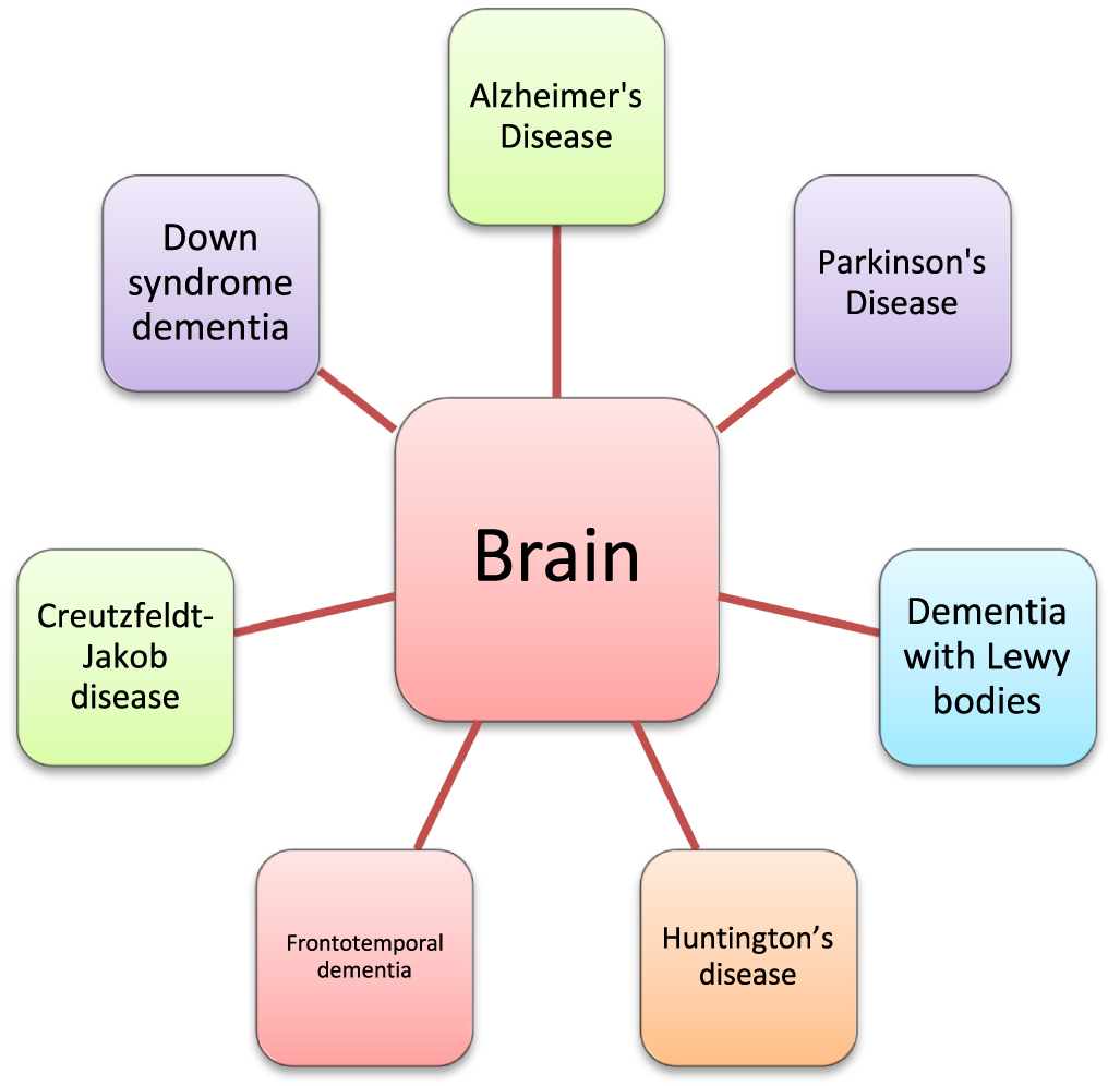 The early diagnosis of Alzheimer’s disease using advanced biomedical ...
