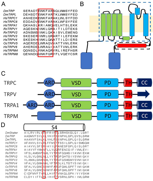 Structure and function of TRP channels - Book chapter - IOPscience