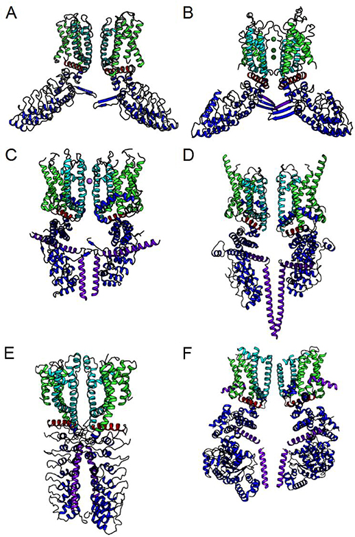 Structure and function of TRP channels - Book chapter - IOPscience