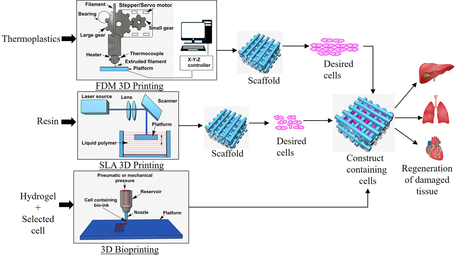 3D bioprinting in tissue engineering and regenerative medicine - Book ...