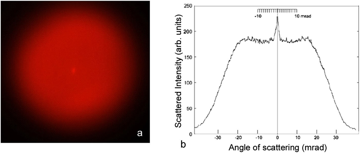 Polarization and scattering - Book chapter - IOPscience