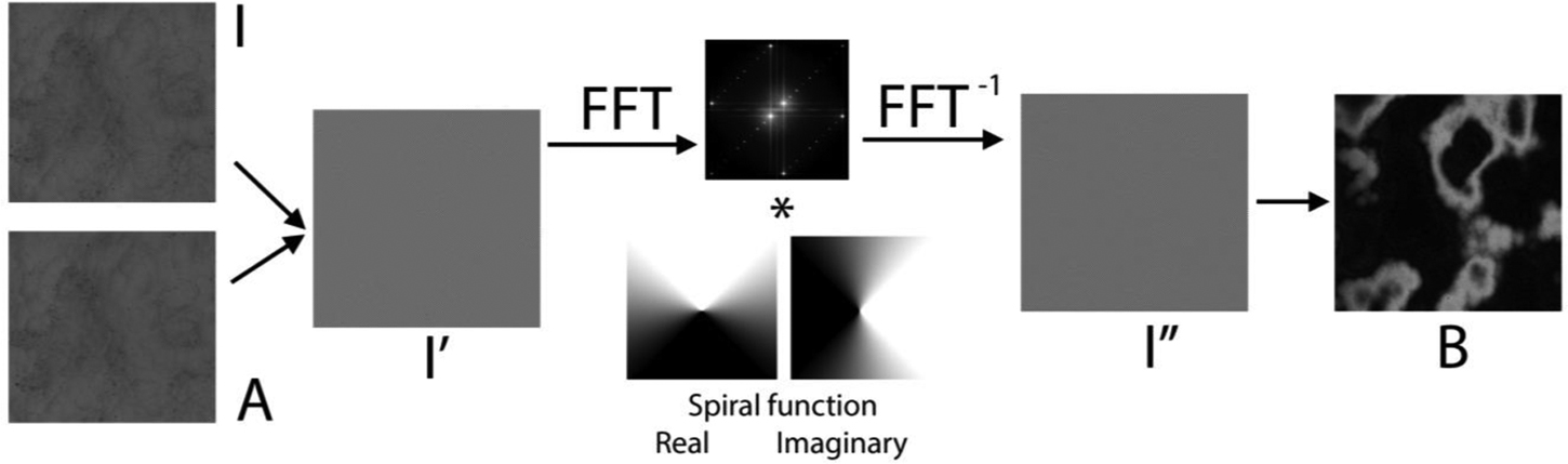 Imaging confocal microscopy - Book chapter - IOPscience