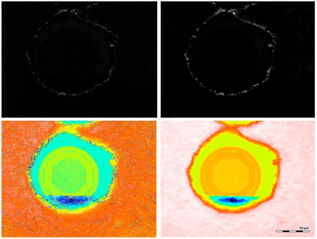 Imaging confocal microscopy - Book chapter - IOPscience