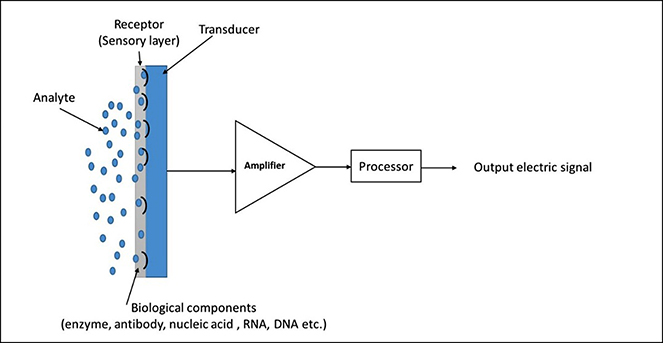 Classification and characteristics of sensors - Book chapter - IOPscience
