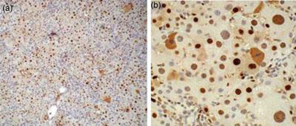 Transmission light microscopy - Book chapter - IOPscience