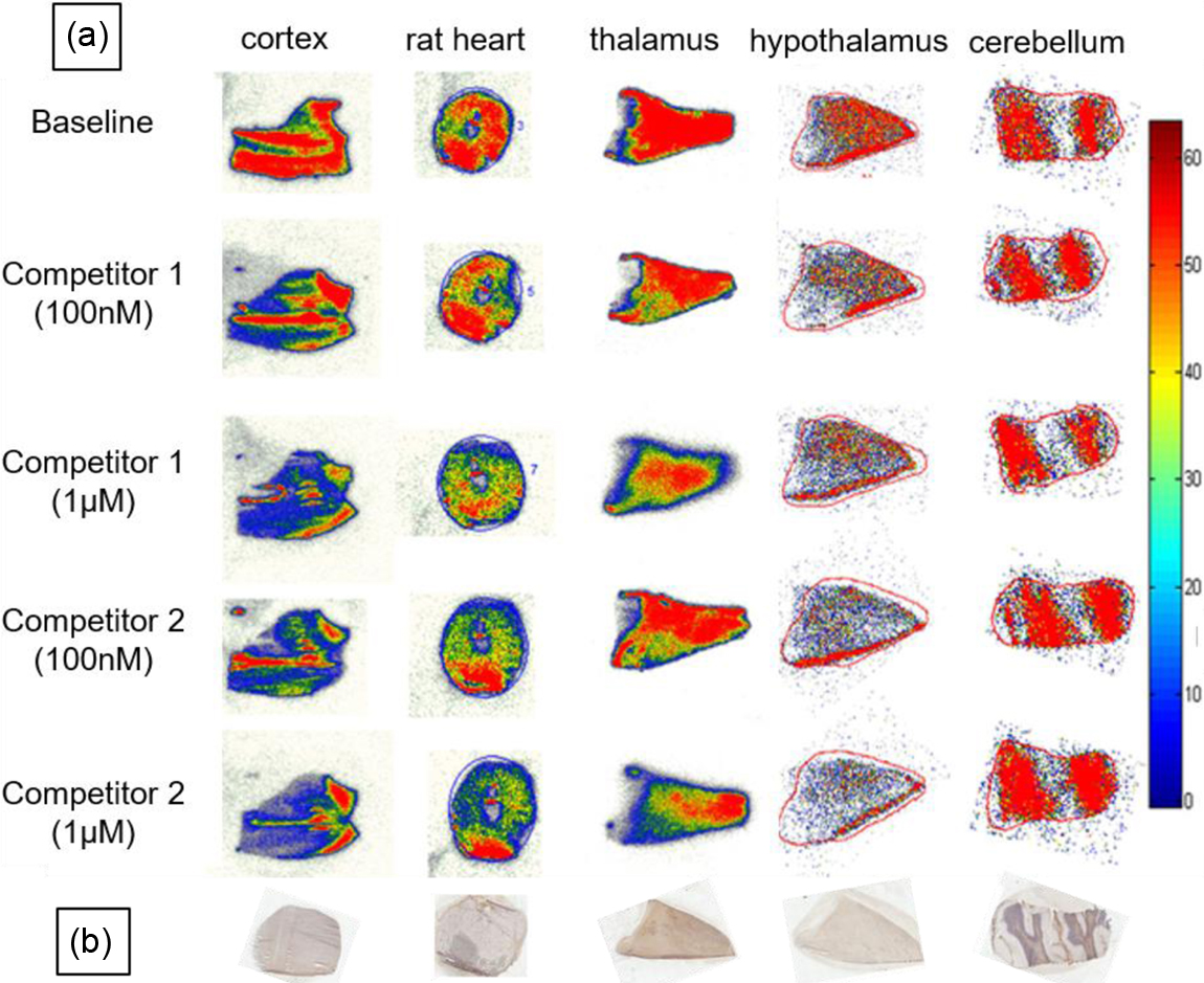 Autoradiography - Book chapter - IOPscience
