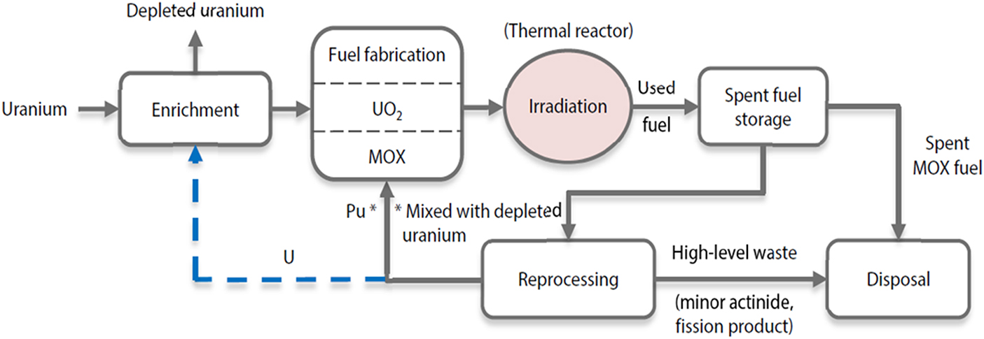 Nuclear fuel from cradle to grave: existing variants and future options ...