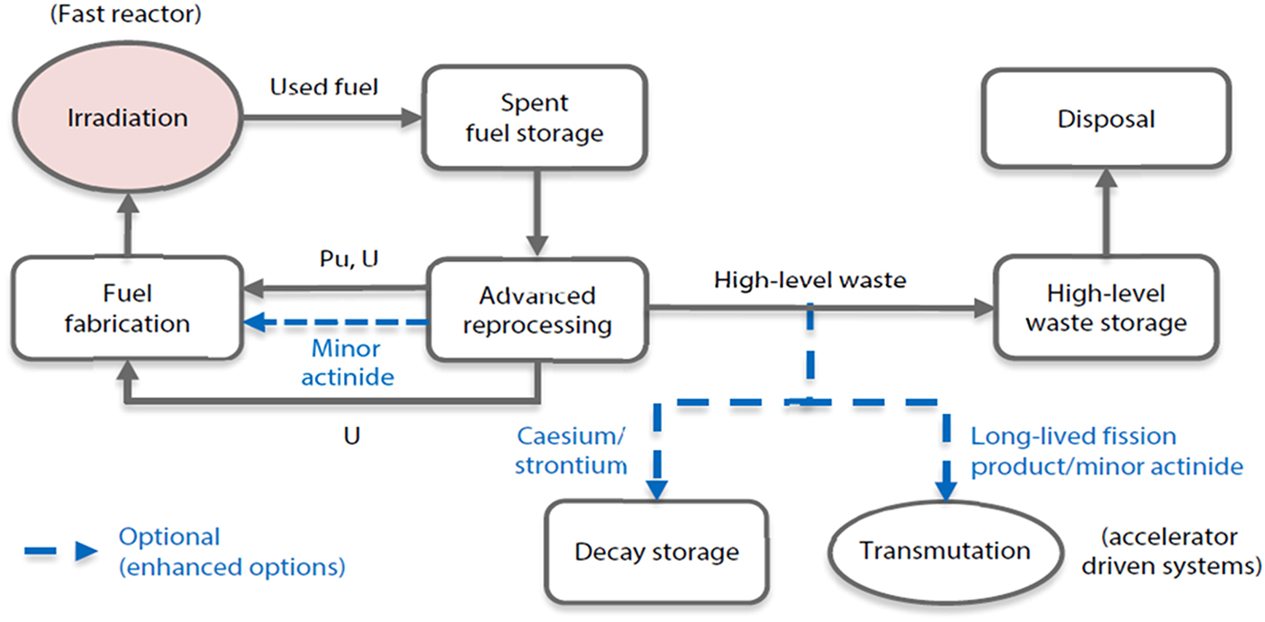 Nuclear fuel from cradle to grave: existing variants and future options ...