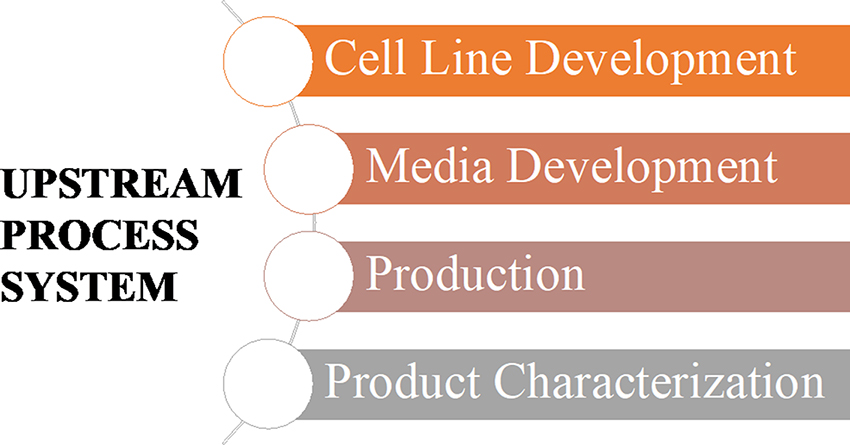 Cell line development - Book chapter - IOPscience