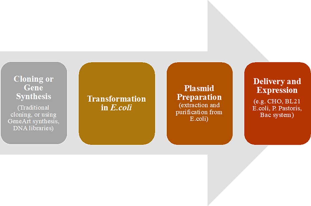 Cell line development - Book chapter - IOPscience