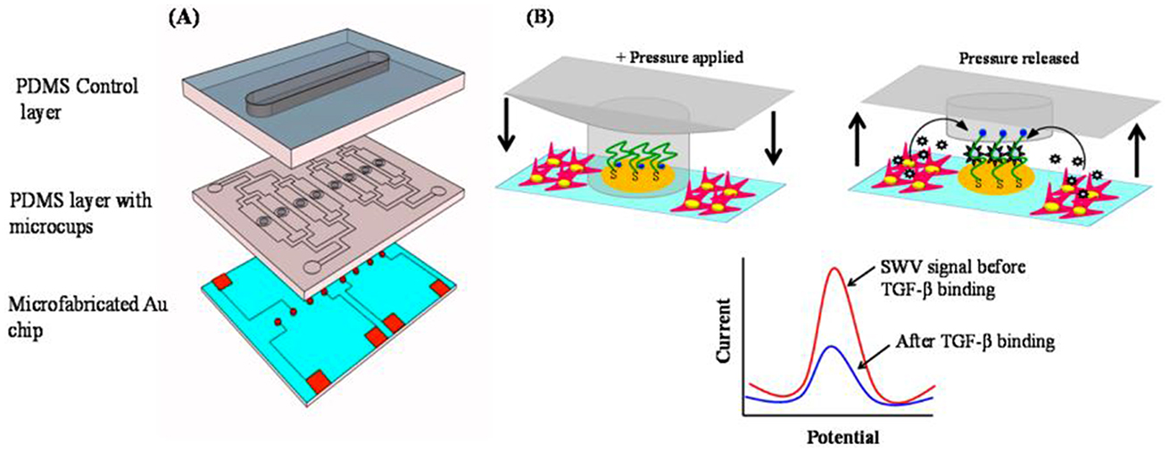 Microfluidics system for biomedical nanotechnology - Book chapter ...