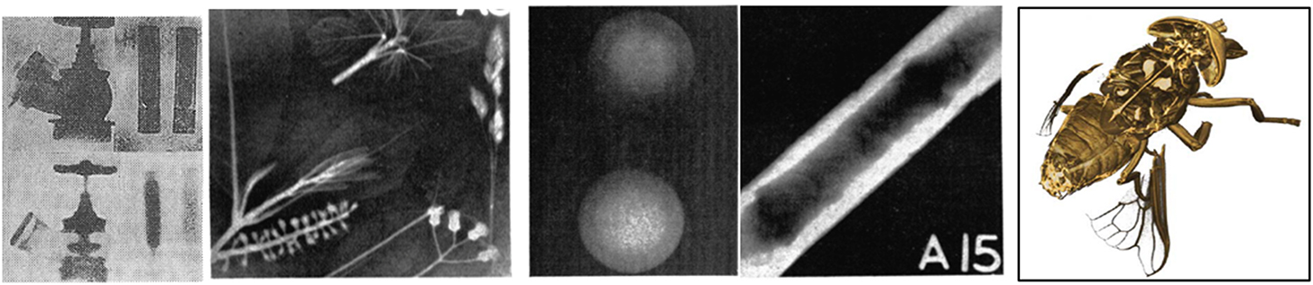 History and basics of neutron imaging - Book chapter - IOPscience