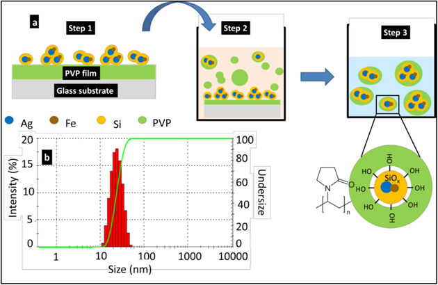 Introduction to nanoparticles and nanotechnology - Book chapter - IOPscience