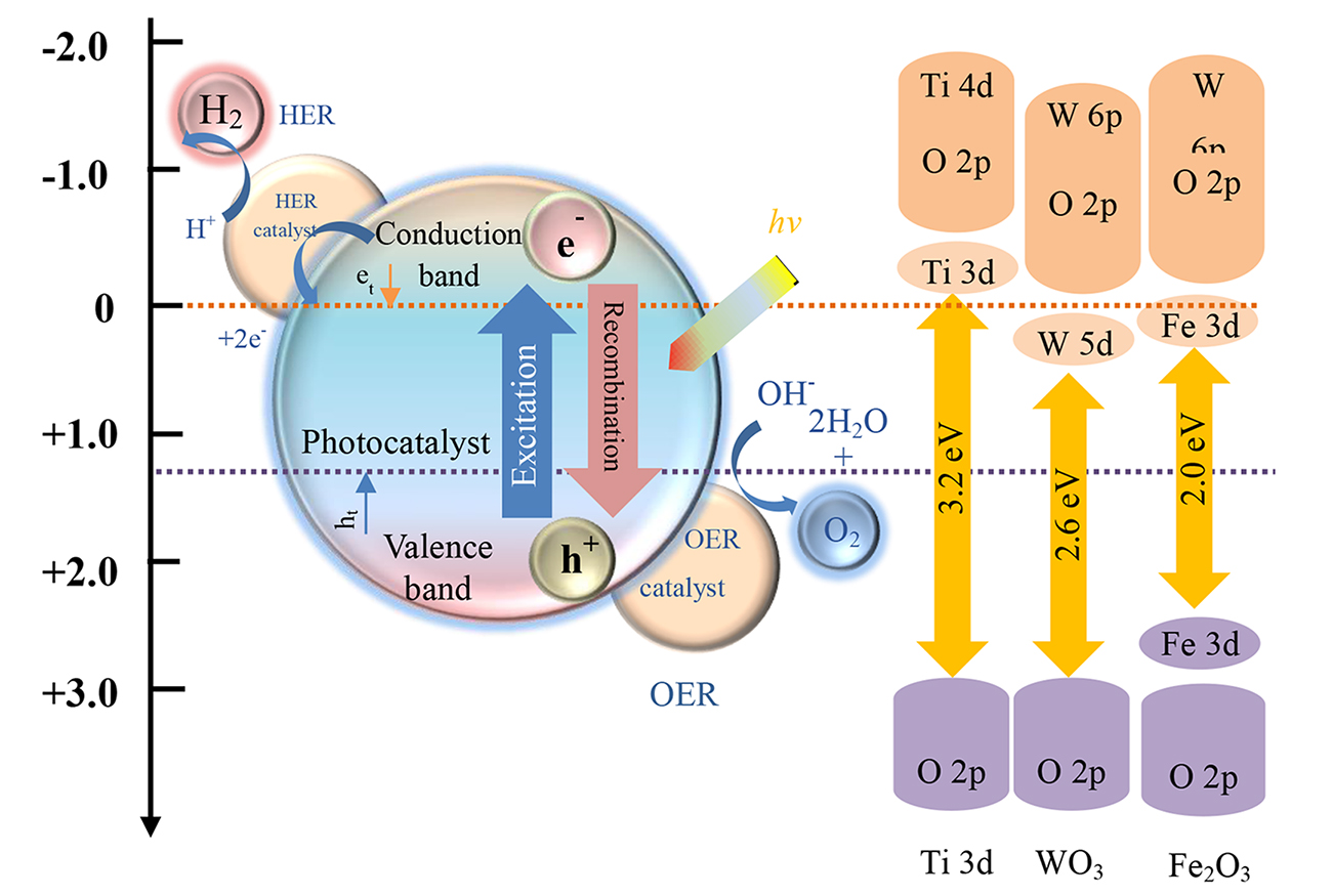 Fundamentals of photoelectrochemical water splitting - Book chapter ...