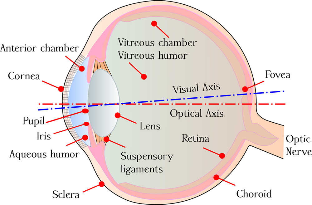 Optics, sensors and images - Book chapter - IOPscience