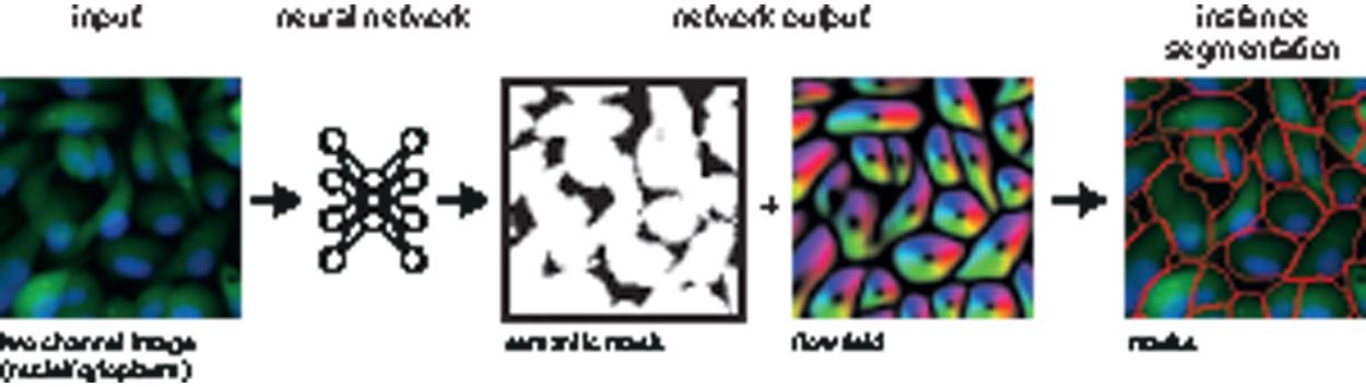 Multimodal image segmentation - Book chapter - IOPscience