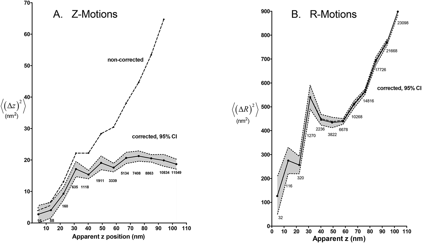 Secretory granule motions adjacent to the plasma membrane and granule ...