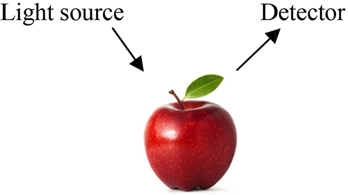 Review of quality assessment of fruit and vegetables using NIR ...