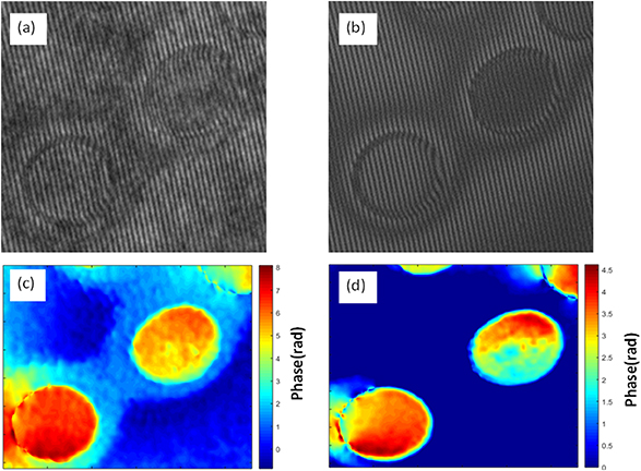 Introduction - Book chapter - IOPscience