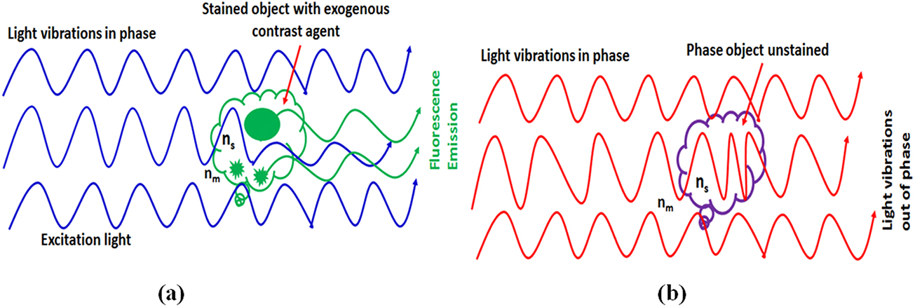 Introduction - Book chapter - IOPscience