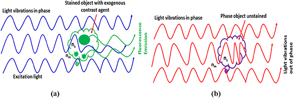 Introduction - Book chapter - IOPscience