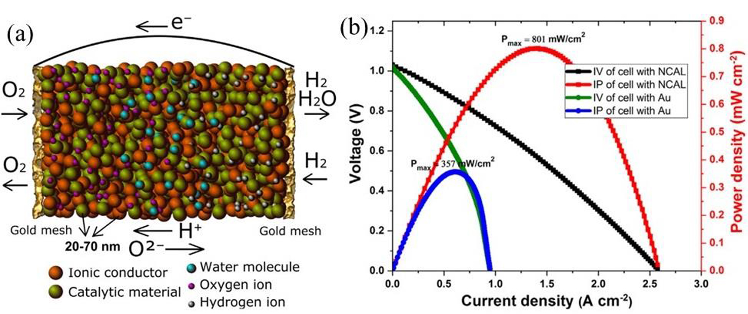 Novel electrode materials and nano-oxide composite electrolytes - Book ...