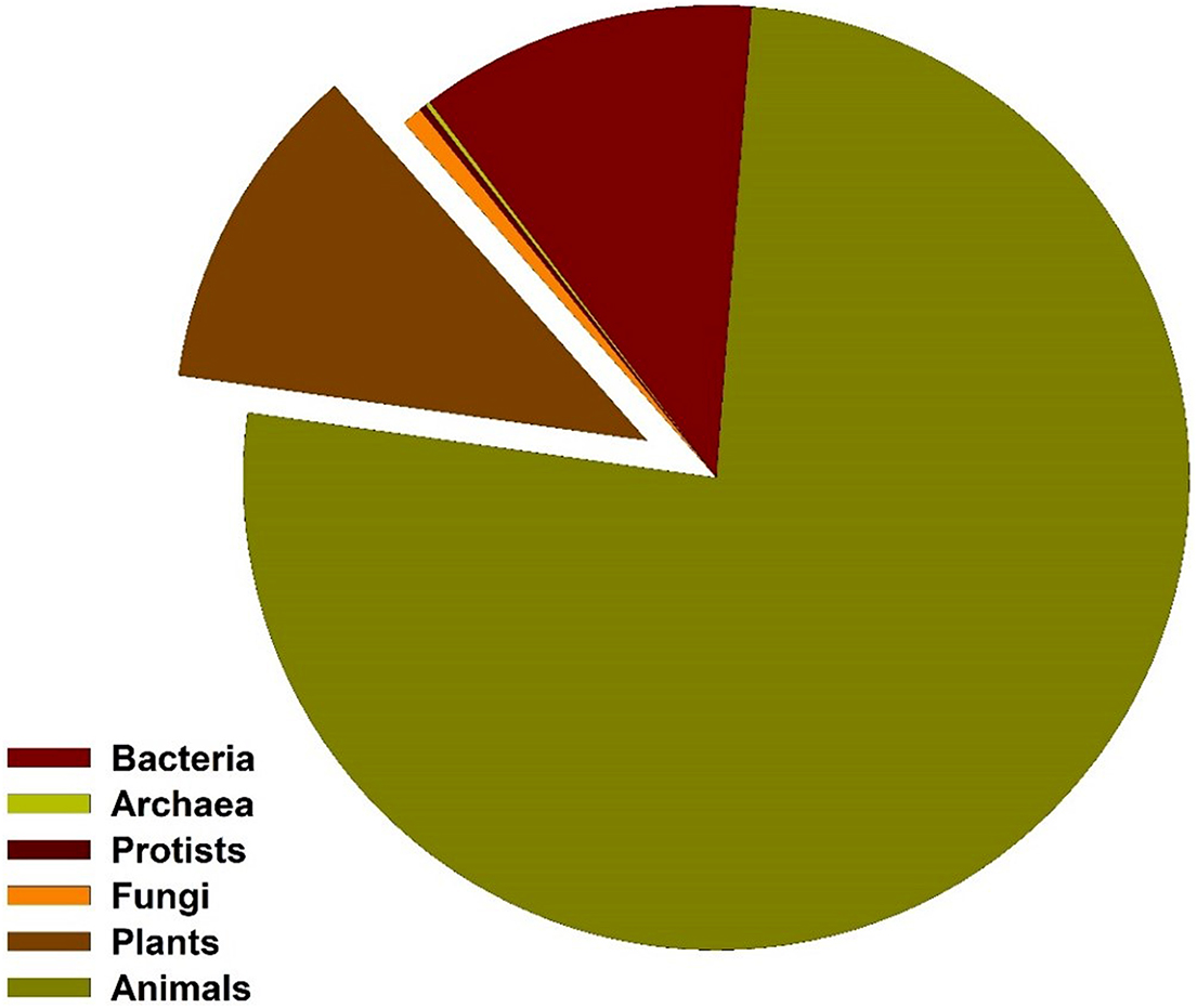 Plant defense system and role of antimicrobial peptides - Book chapter ...